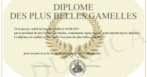 Diplome des plus belles gamelles
