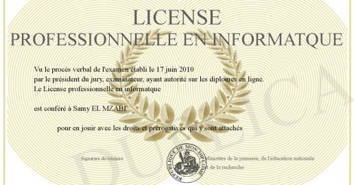 License professionnelle en informatque