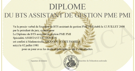Diplome du BTS assistant de gestion PME PMI