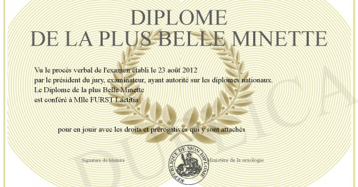 Diplome de la plus Belle Minette