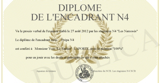 Diplome de l encadrant N4