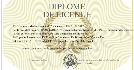 Diplome de licence