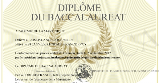 DIPLÔME DU BACCALAUREAT