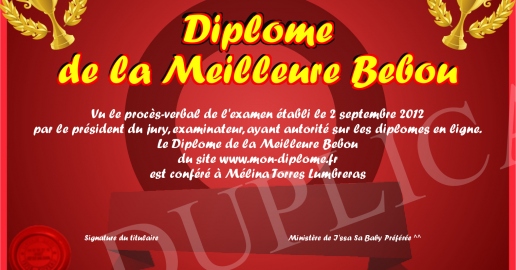 Diplome de la Meilleure Bebou