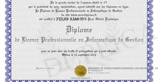 Diplome de Licence Professionnelle en Informatique de Gestion