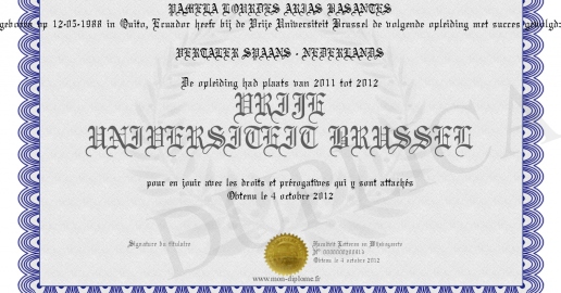 VRIJE UNIVERSITEIT BRUSSEL