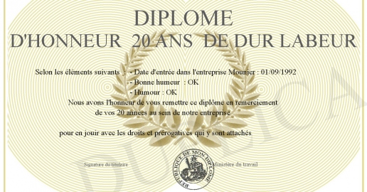 DIPLOME D HONNEUR 20 ans de dur labeur