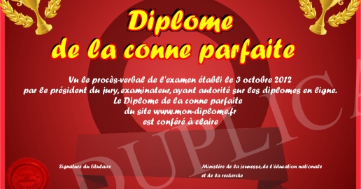 Diplome de la conne parfaite