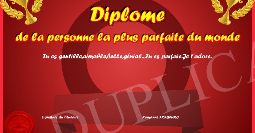 Diplome de la personne la plus parfaite du monde
