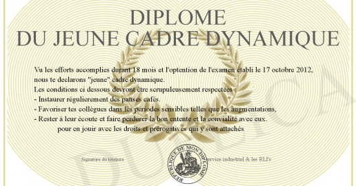 Diplome du jeune cadre dynamique