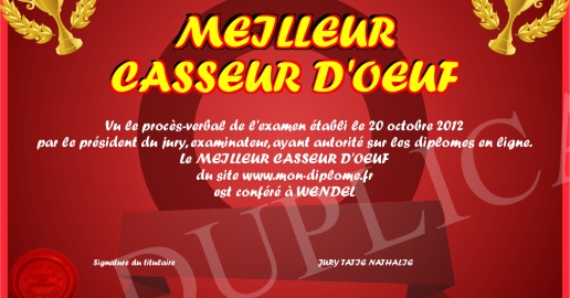 MEILLEUR CASSEUR D OEUF