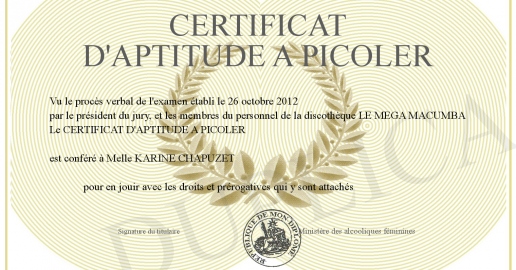 CERTIFICAT D APTITUDE A PICOLER