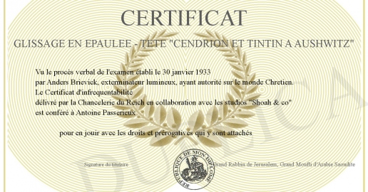Certificat Glissage en Epaulee - tete -Cendrion et tintin a Aushwitz-