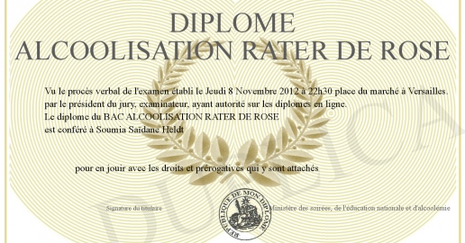 DIPLOME ALCOOLISATION RATER DE ROSE
