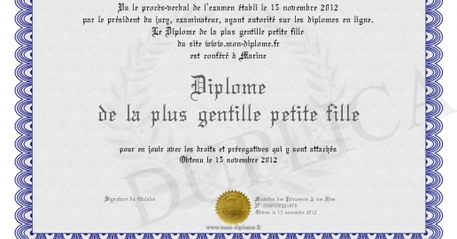 Diplome de la plus gentille petite fille