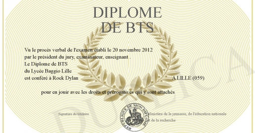 Diplome de BTS