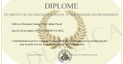 Diplome du brevet de technicien superieur Fluide Énergie Environnement
