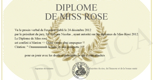 Diplome de Miss rose