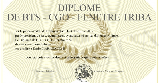 Diplome de BTS - CGO - Fenetre triba