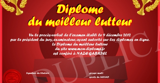 Diplome du meilleur lutteur