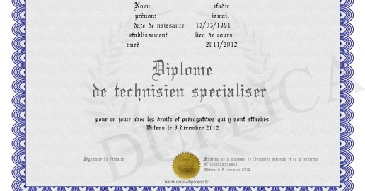 Diplome de technisien specialiser
