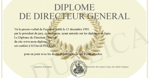 Diplome de Directeur General