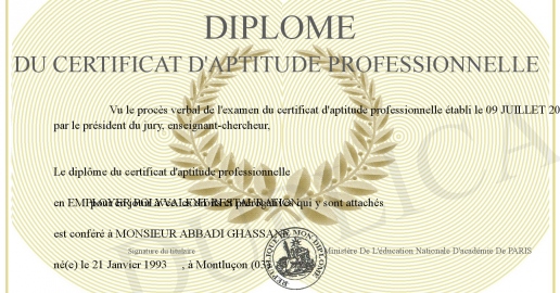 Diplome du certificat d aptitude professionnelle