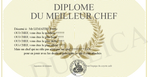 DIPLOME DU MEILLEUR CHEF