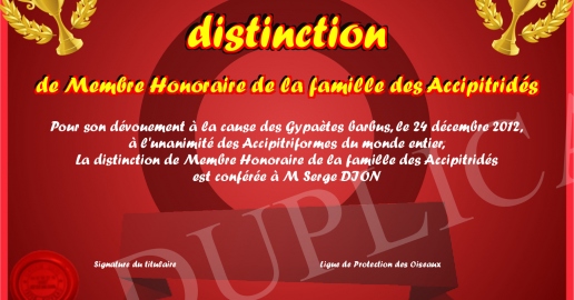 distinction de Membre Honoraire de la famille des Accipitrides