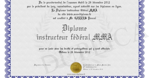 Diplome instructeur federal MMA