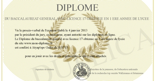 Diplome du baccalaureat general avec licence 17 obtenue en 1 ere annee ...