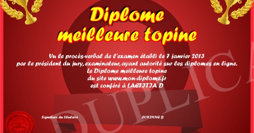 Diplome meilleure topine