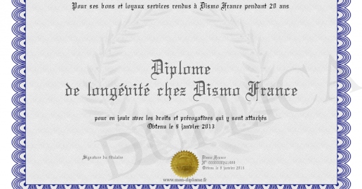 Diplome de longevite chez Dismo France