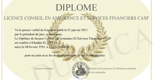 Diplome LICENCE CONSEIL EN ASSURANCE ET SERVICES FINANCIERS CASF