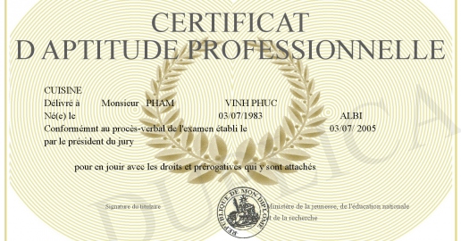 CERTIFICAT D APTITUDE PROFESSIONNELLE