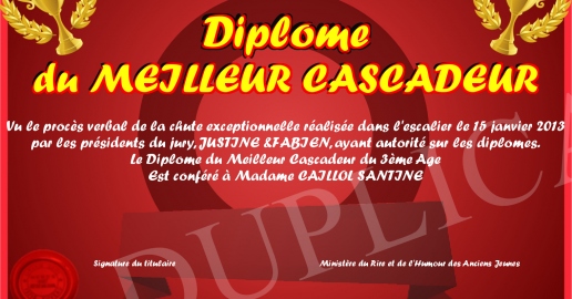 Diplome du MEILLEUR CASCADEUR