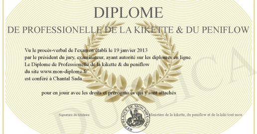 Diplome de Professionelle de la kikette & du peniflow