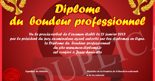 Diplome du boudeur professionnel