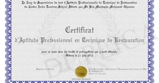 Certificat d Aptitude Professionnel en Technique de Restauration