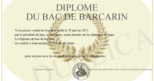Diplome du bac de barcarin