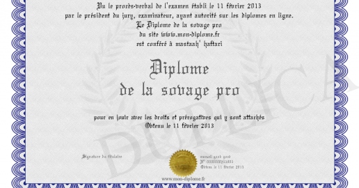 Diplome de la sovage pro
