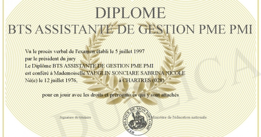Diplome BTS ASSISTANTE DE GESTION PME PMI