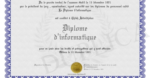 Diplome d informatique