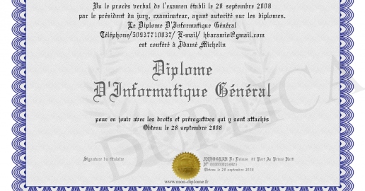 Diplome D Informatique General