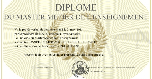 Diplome du Master Metier de L Enseignement