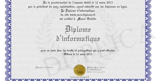 Diplome d informatique