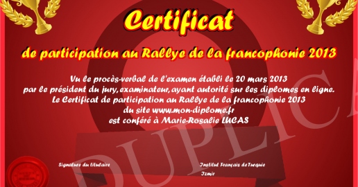 Certificat de participation au Rallye de la francophonie 2013