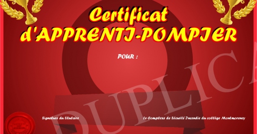 Certificat d APPRENTI-POMPIER