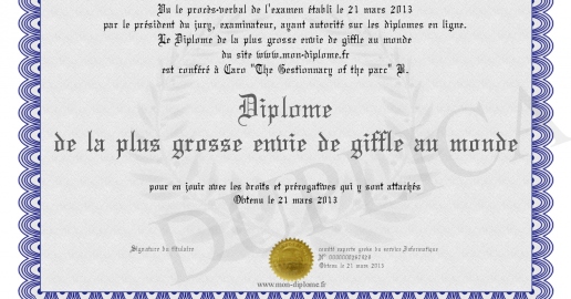 Diplome de la plus grosse envie de giffle au monde