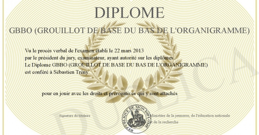 Diplome GBBO (GROUILLOT DE BASE DU BAS DE L ORGANIGRAMME)